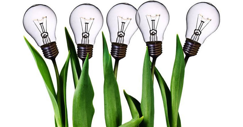 Green Design. Un concorso per ri-innovare l'esperienza del verde ...