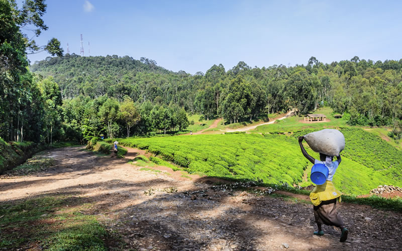 Rwanda Chapel. Una chiesa per la comunità religiosa di Rukomo ...