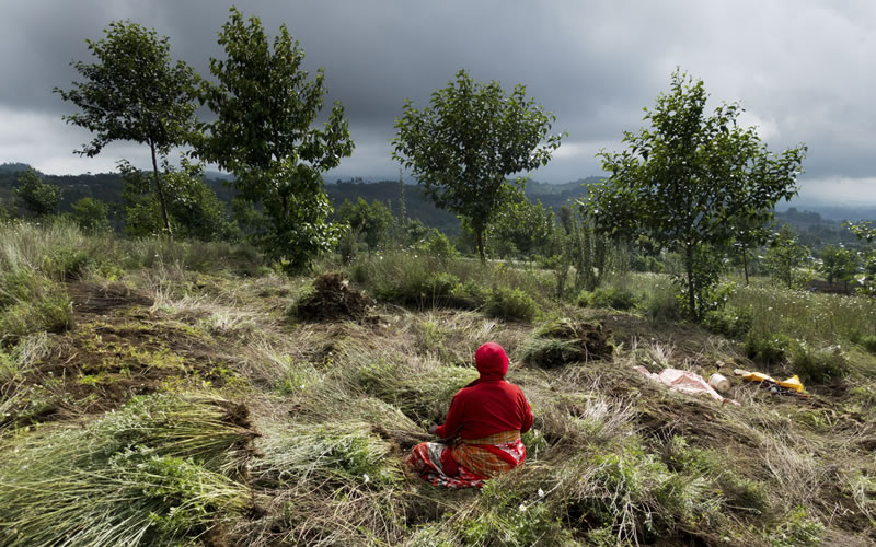 Rwanda Chapel. Una chiesa per la comunità religiosa di Rukomo ...