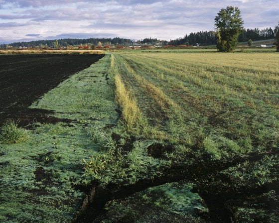 Fertile Geometry. Fotografia e Paesaggio - personale di David Pollock ...